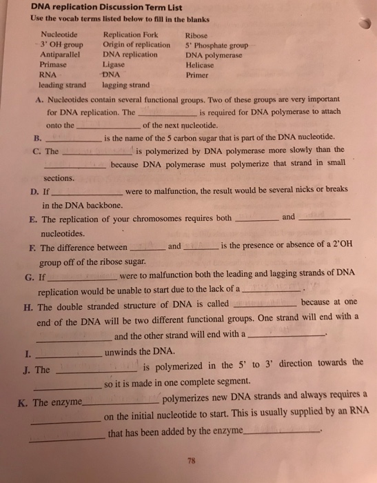 Solved DNA replication Discussion Term List Use the vocab | Chegg.com