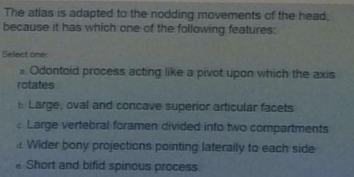 Solved The atlas is adapted to the nodding movements of the | Chegg.com