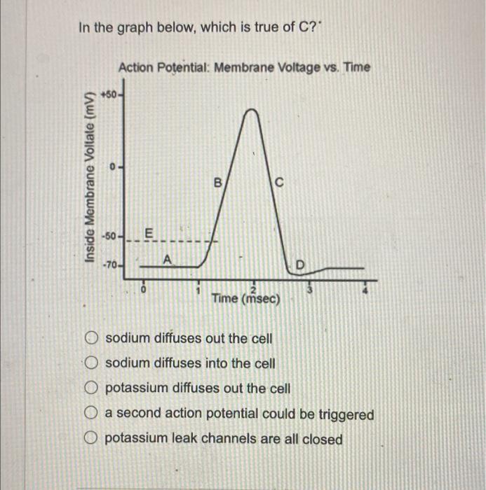 Solved QUESTION 11 In the graph below, A represents Action | Chegg.com