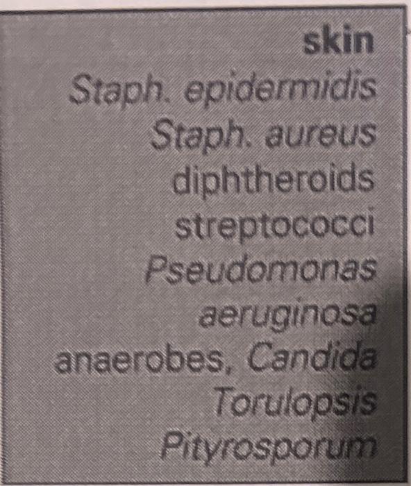 skin Staph. epidermidis Staph. aureus diphtheroids | Chegg.com