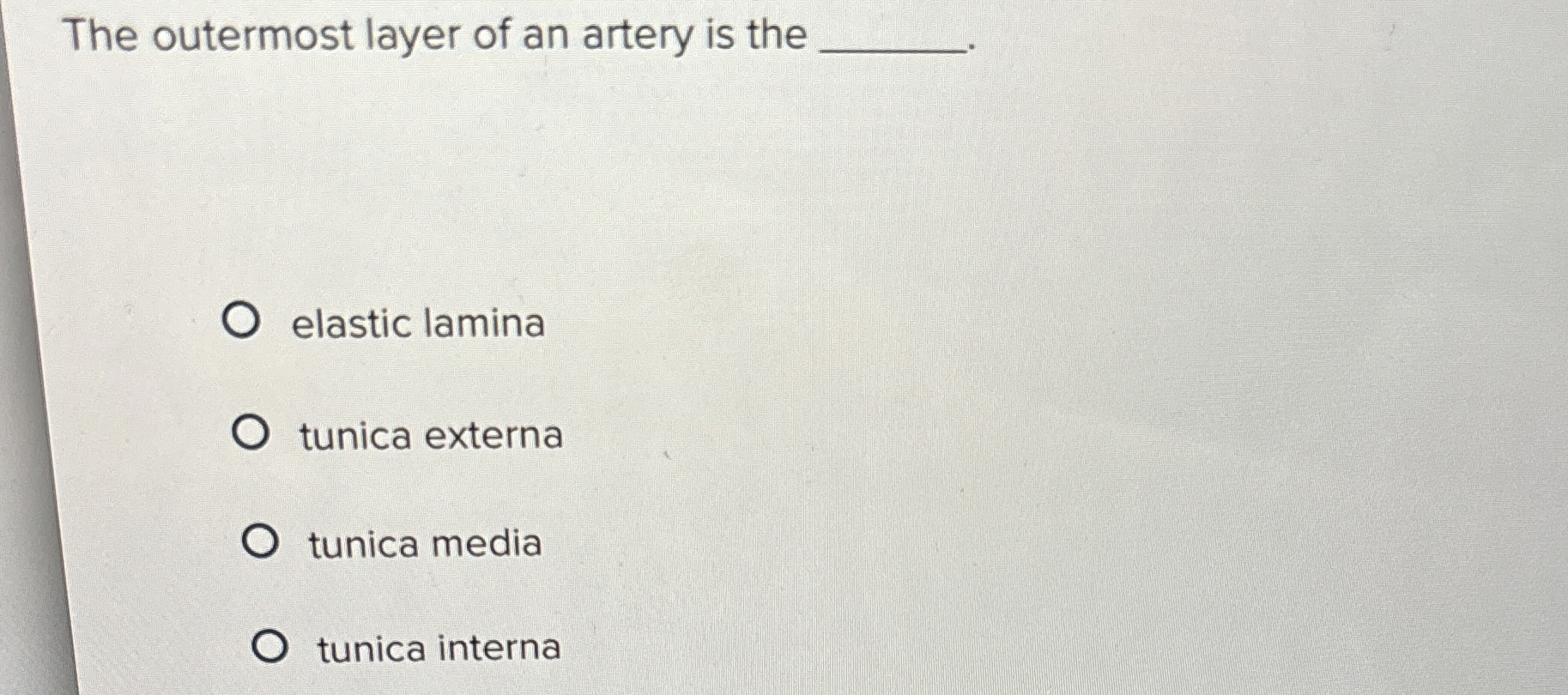 Solved The outermost layer of an artery is the elastic | Chegg.com