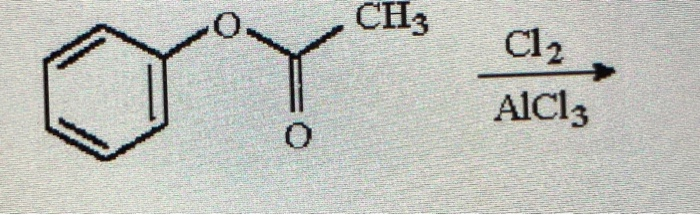 Solved Br2 -C02H FeBr 3 CH3 Cl2 AlCl3 | Chegg.com