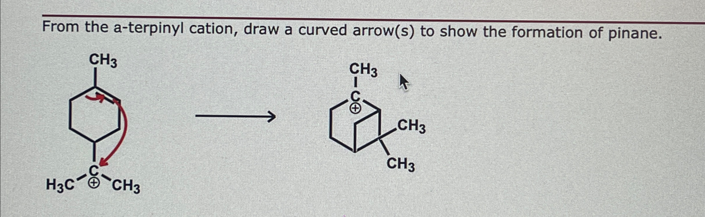 Solved From the a-terpinyl cation, draw a curved arrow(s) | Chegg.com