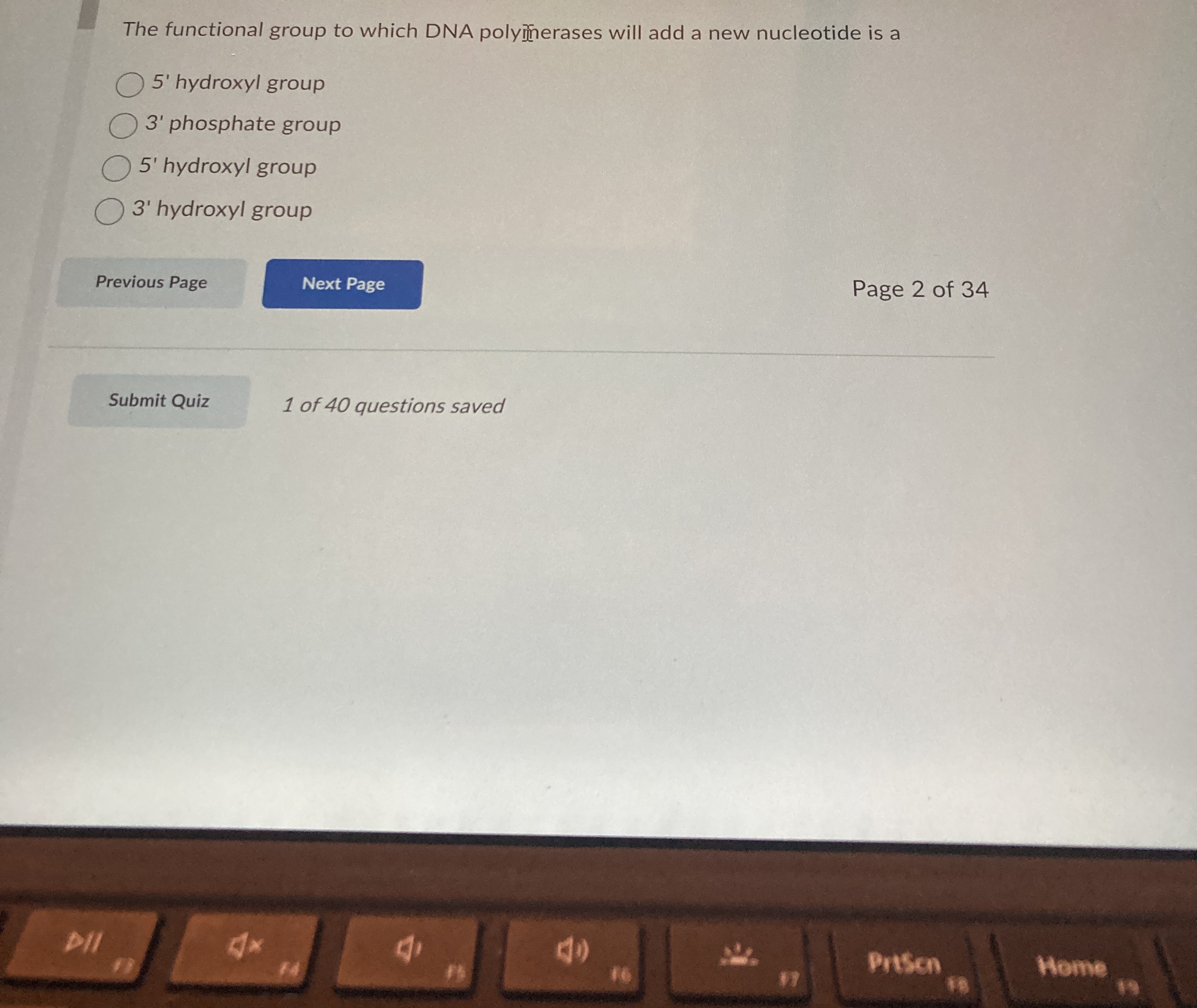 Solved The functional group to which DNA poly$nerases will | Chegg.com