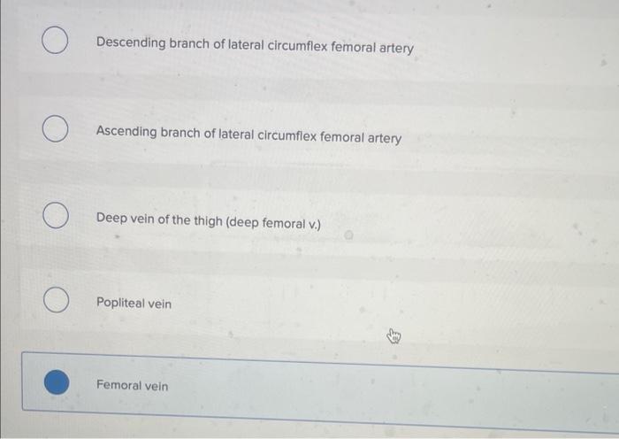 Solved O Descending branch of lateral circumflex femoral | Chegg.com