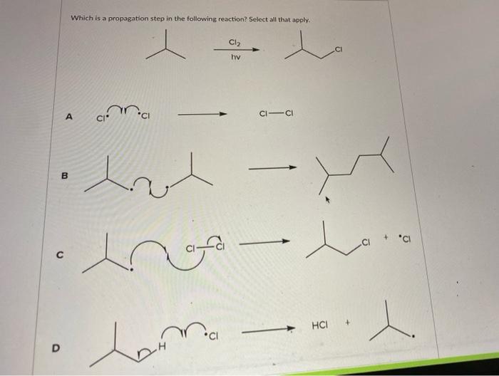 Solved Which is a propagation step in the following | Chegg.com