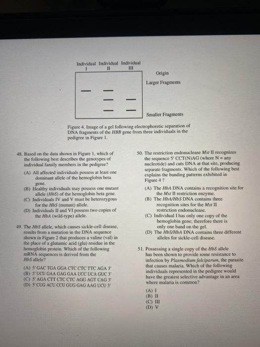 Solved 50. The restriction endonuclease Mst II recognizes | Chegg.com