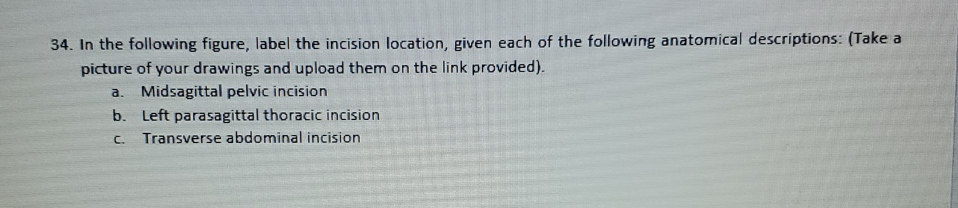 In the following figure, label the incision location, | Chegg.com