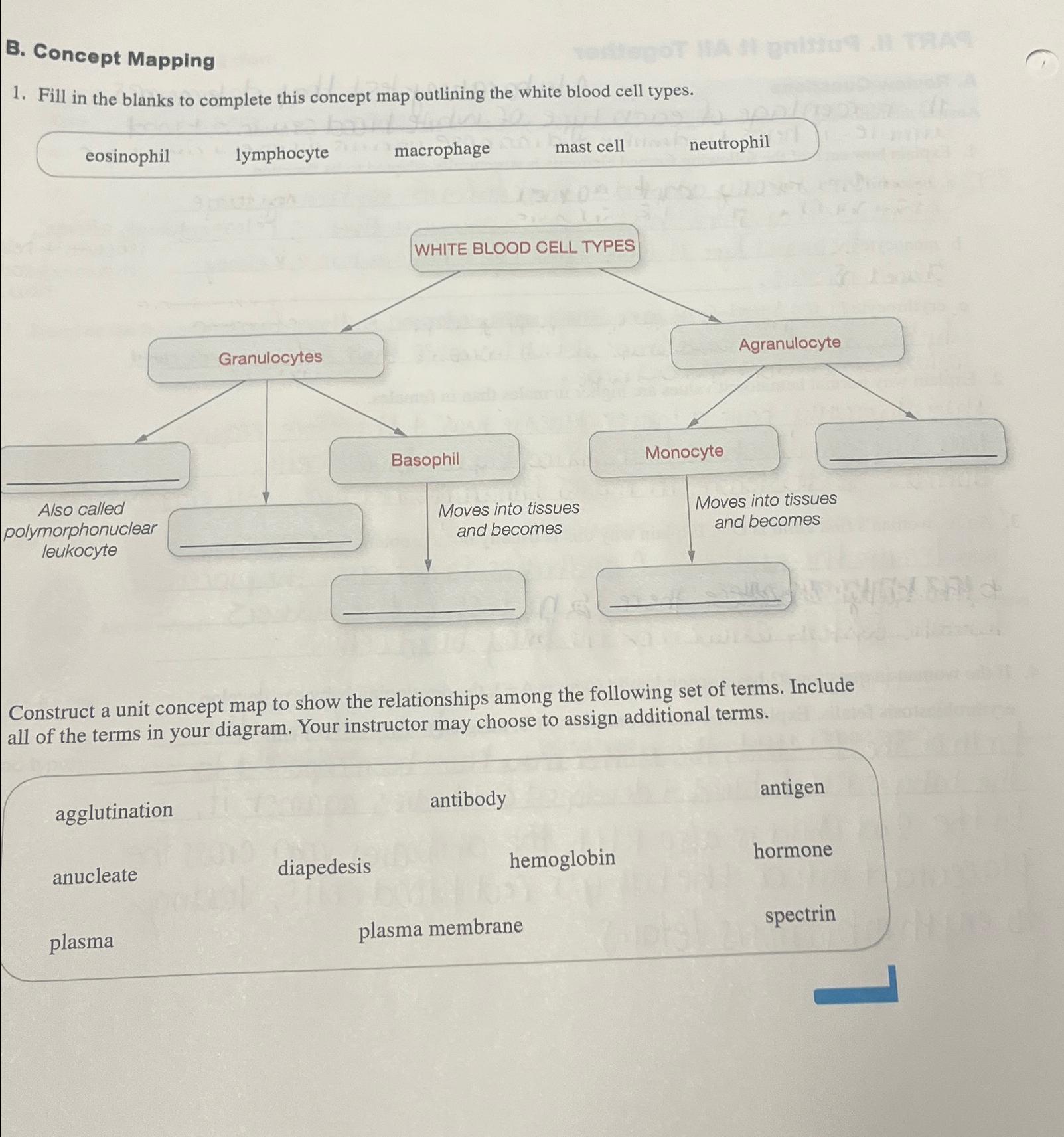 Solved B. ﻿Concept MappingFill in the blanks to complete | Chegg.com