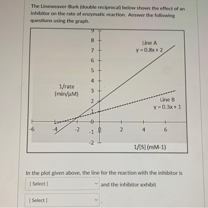 Solved The Lineweaver-Burk (double reciprocal) below shows | Chegg.com