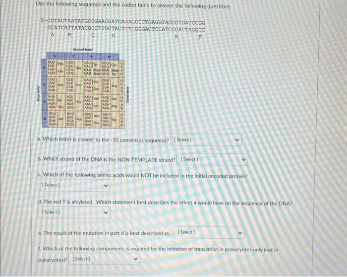 Use the following sequence and the codon table to | Chegg.com