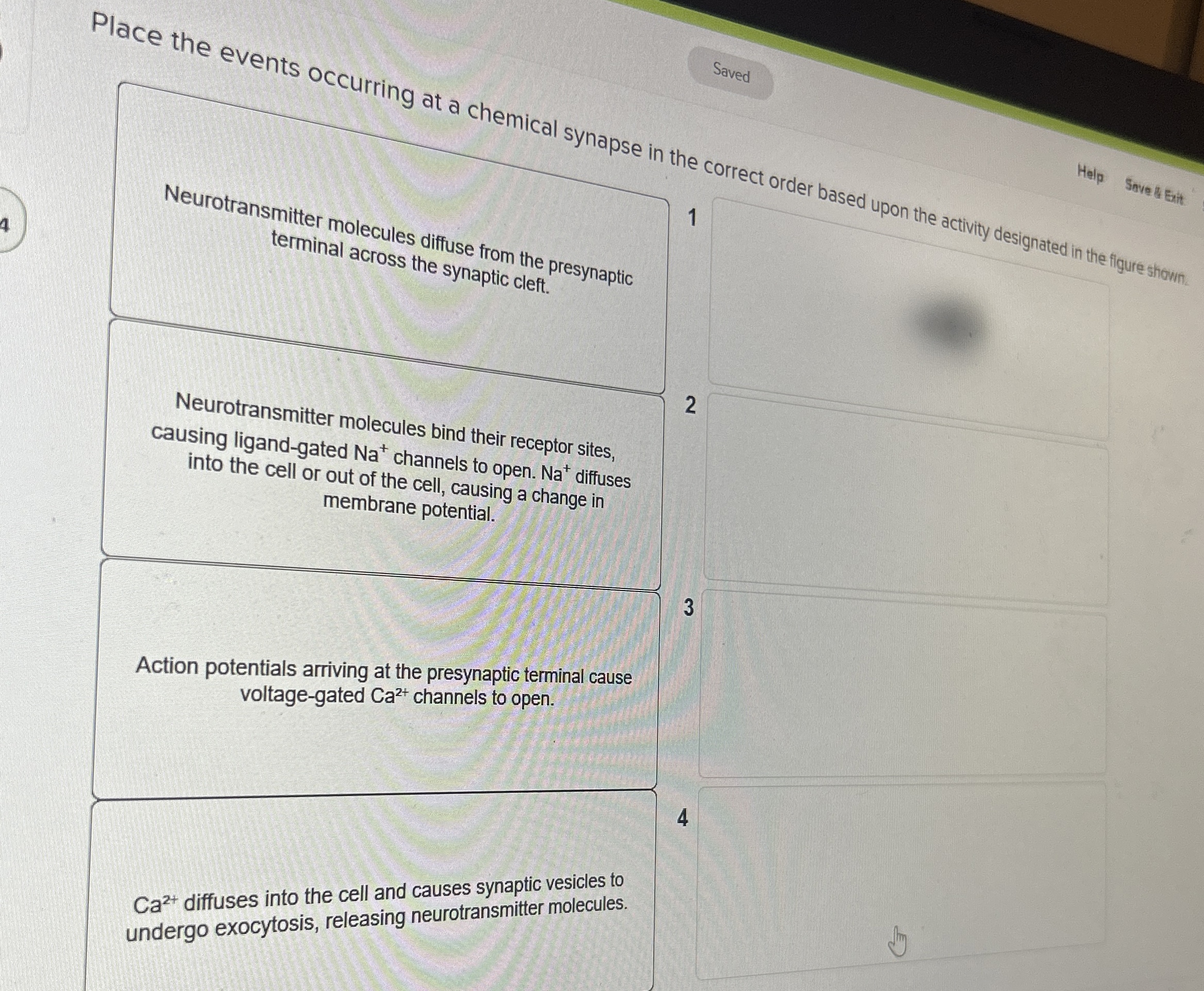 Solved Help Saverea git1Neurotransmitter molecules diffuse | Chegg.com