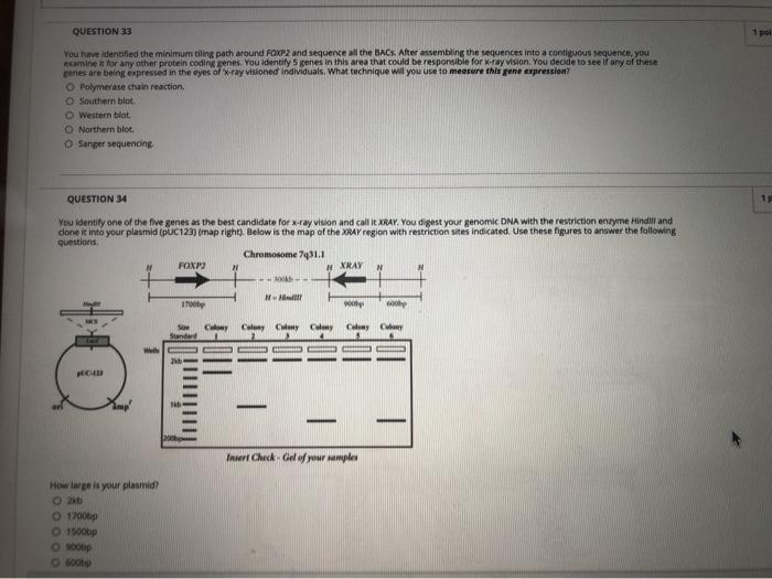 QUESTION 33 1 poi You have identified the minimum | Chegg.com