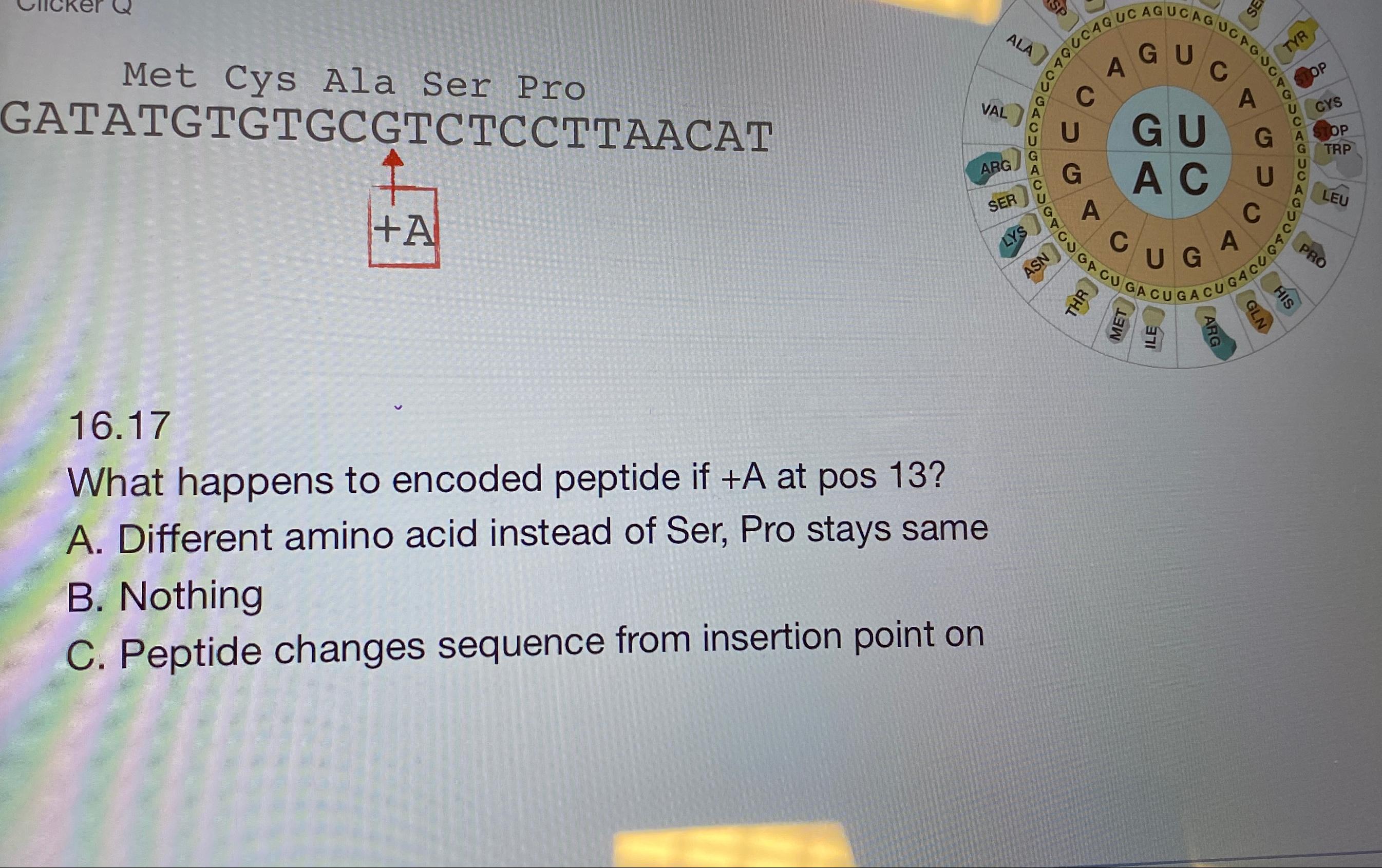 Solved Met Cys Ala ser Pro | Chegg.com