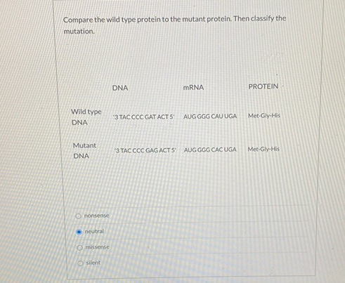 Solved Compare the wild type protein to the mutant protein. | Chegg.com