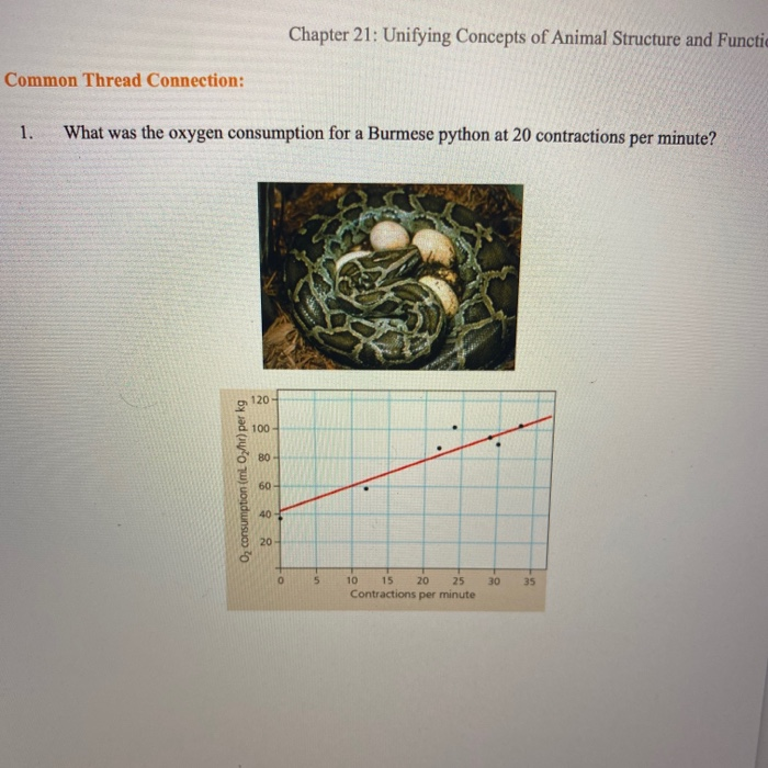 Solved Chapter 21: Unifying Concepts of Animal Structure and | Chegg.com