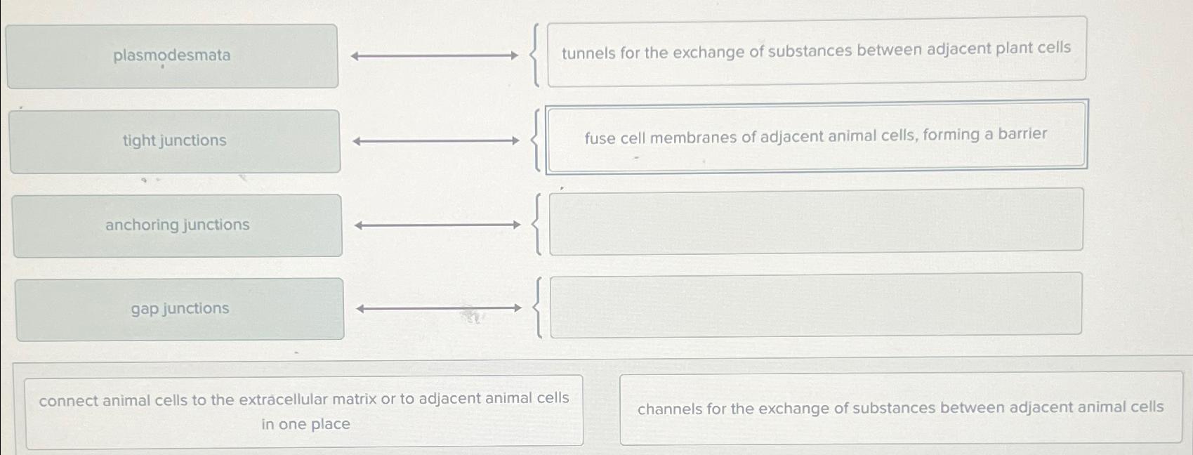 Solved connect animal cells to the extracellular matrix or | Chegg.com