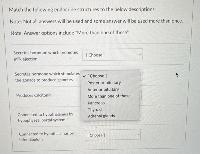 Solved Match the following endocrine structures to the below | Chegg.com