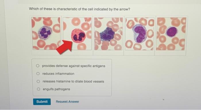 Solved Which of these is characteristic of the cell | Chegg.com