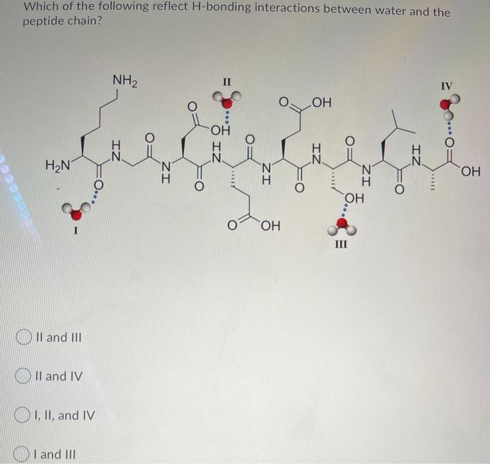 Solved Which of the following reflect H-bonding interactions | Chegg.com