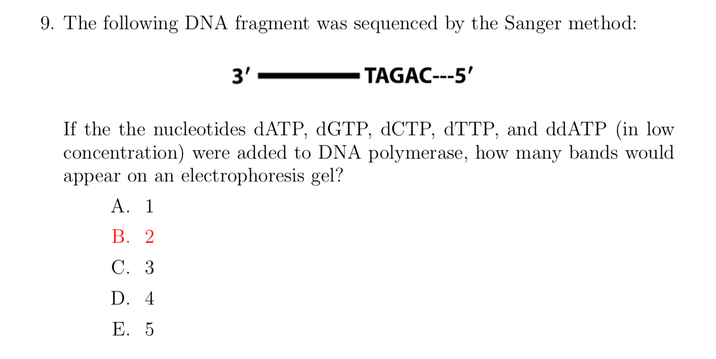 Solved The following DNA fragment was sequenced by the | Chegg.com