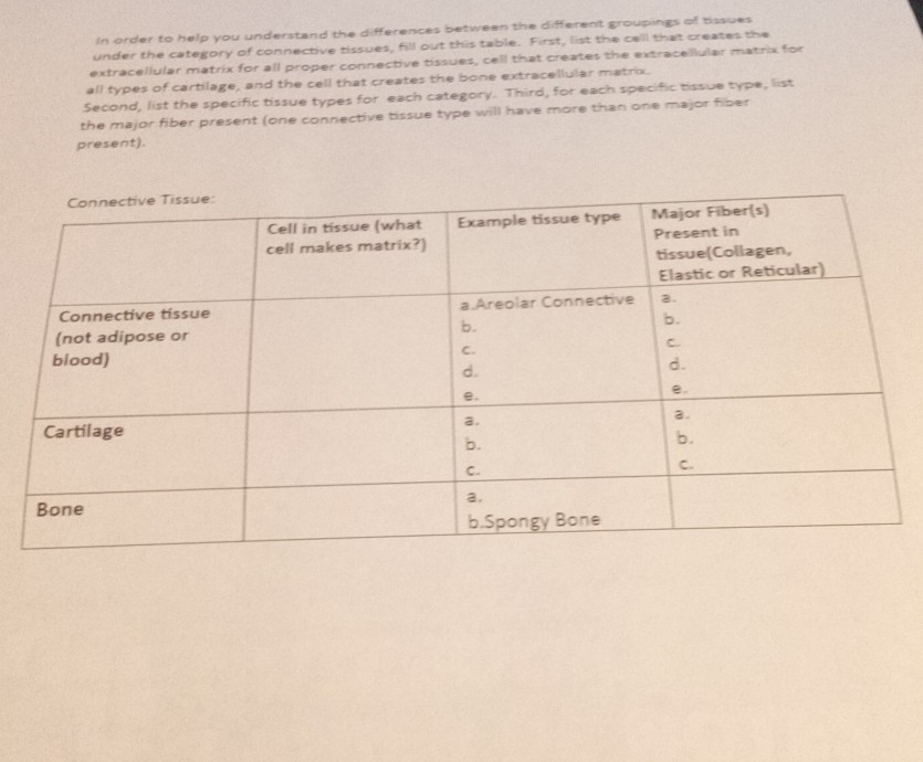 Solved in order to help you understand the differences | Chegg.com