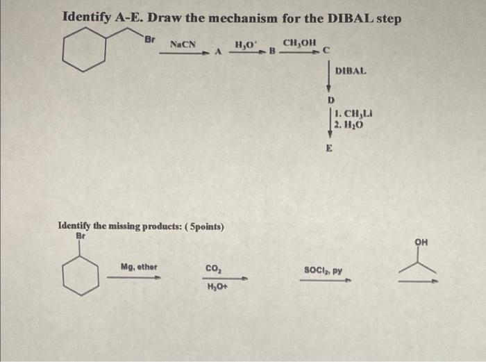 Solved Identify A-E. Draw the mechanism for the DIBAL step | Chegg.com