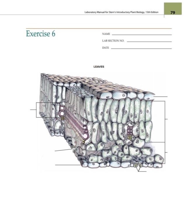 Solved Laboratory Manual for Stern's Introductory Plant | Chegg.com