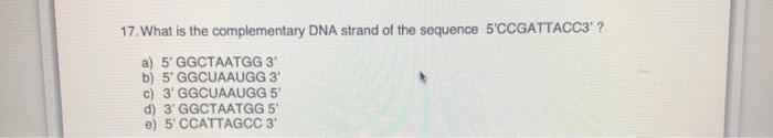 Solved 26. The codon CUU codes for the amino acid leucine. | Chegg.com