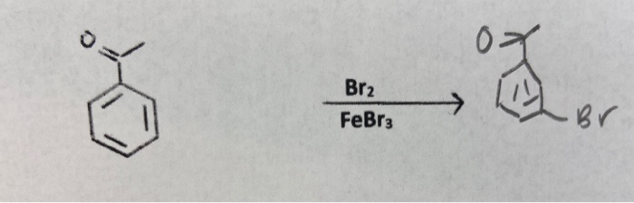 Solved Br2 FeBr3 | Chegg.com