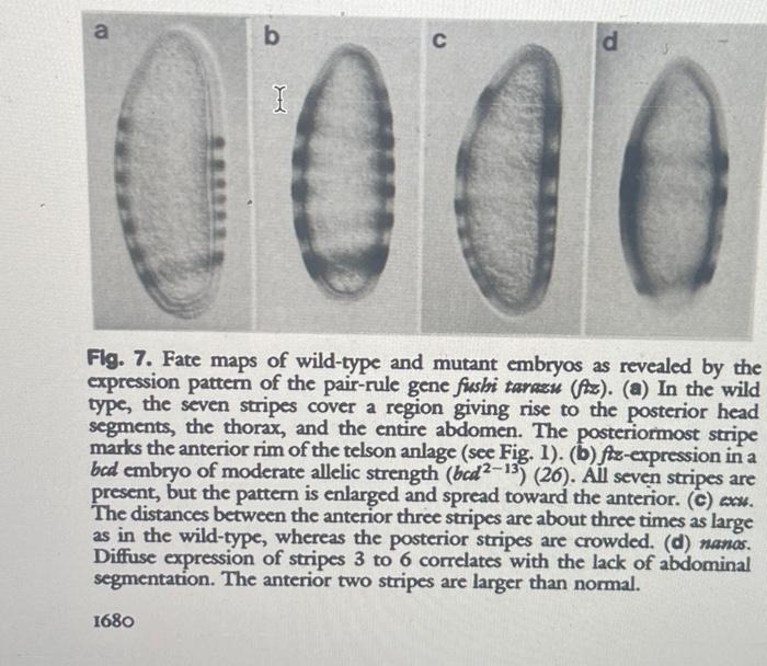 Solved Figure 7 Summary: a: b: c: d:Fig. 7. Fate maps of | Chegg.com