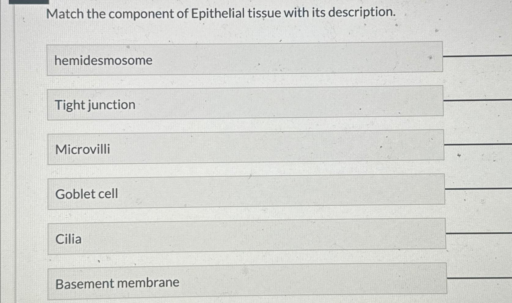 Solved Match the component of Epithelial tissue with its | Chegg.com