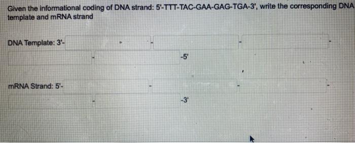 Solved Given the informational coding of DNA strand: | Chegg.com