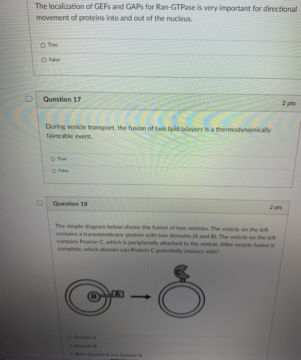 Solved The localization of GEFs and GAPs for Ran-GTPase is | Chegg.com