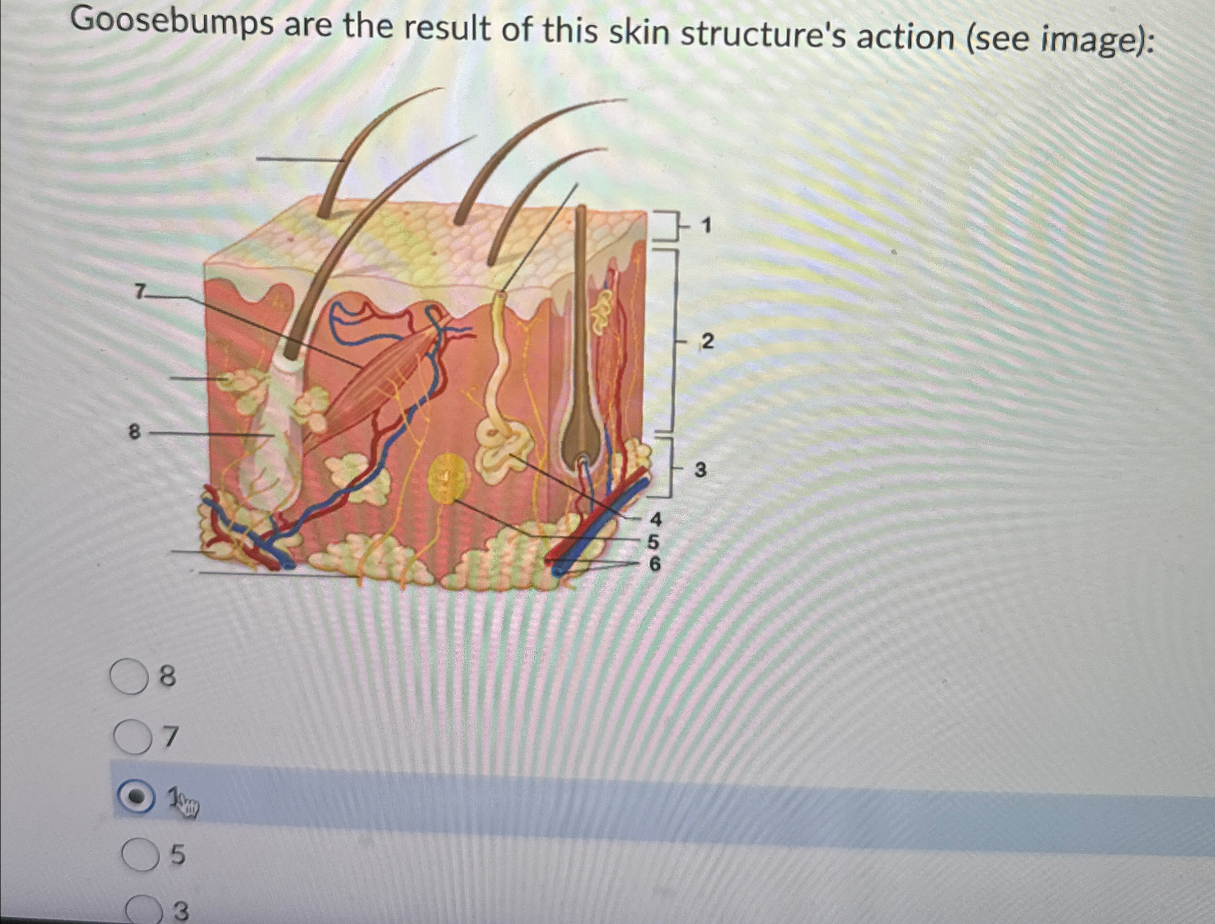 Solved Goosebumps are the result of this skin structure's | Chegg.com