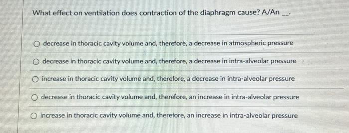 Solved What effect on ventilation does contraction of the | Chegg.com