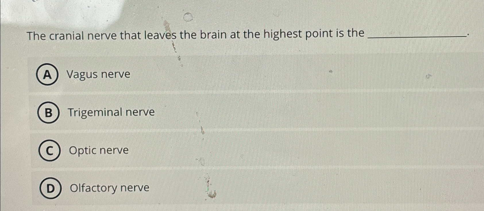 Solved The cranial nerve that leaves the brain at the | Chegg.com