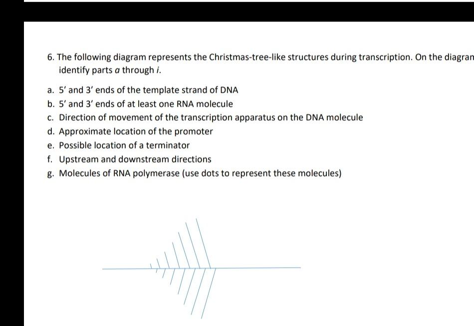 Solved 6. The following diagram represents the | Chegg.com
