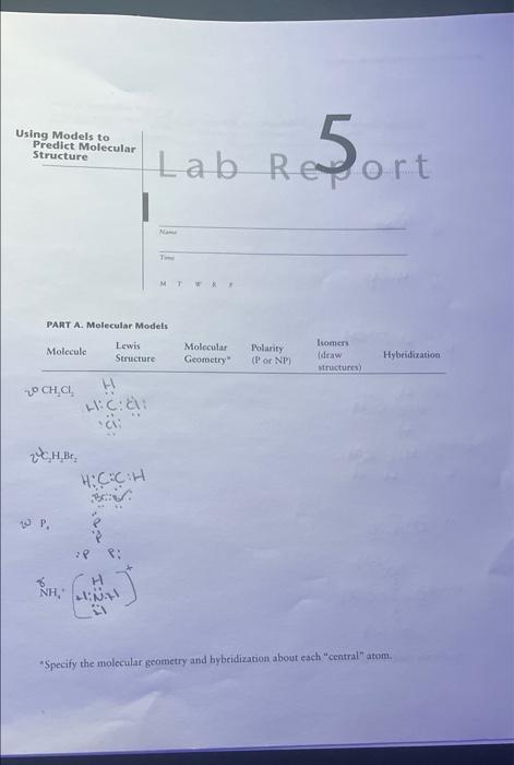 Solved Using Models To Predict Molecular Structure Molecule