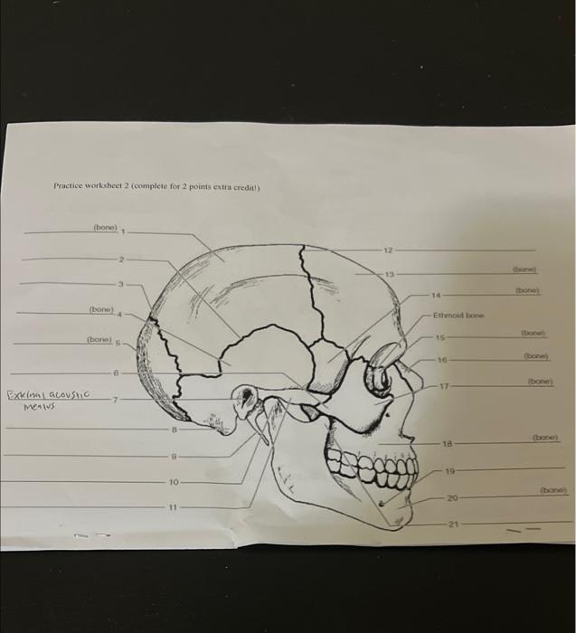 Solved Practice workshedt 2 (complele for 2 poins extra | Chegg.com