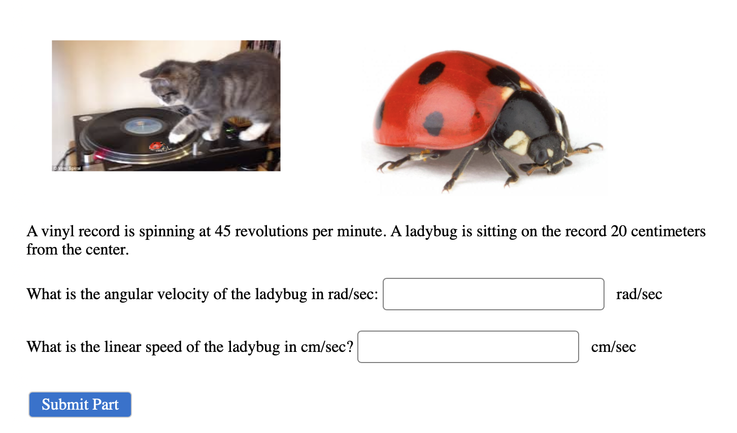 Solved A vinyl record is spinning at 45 ﻿revolutions per | Chegg.com