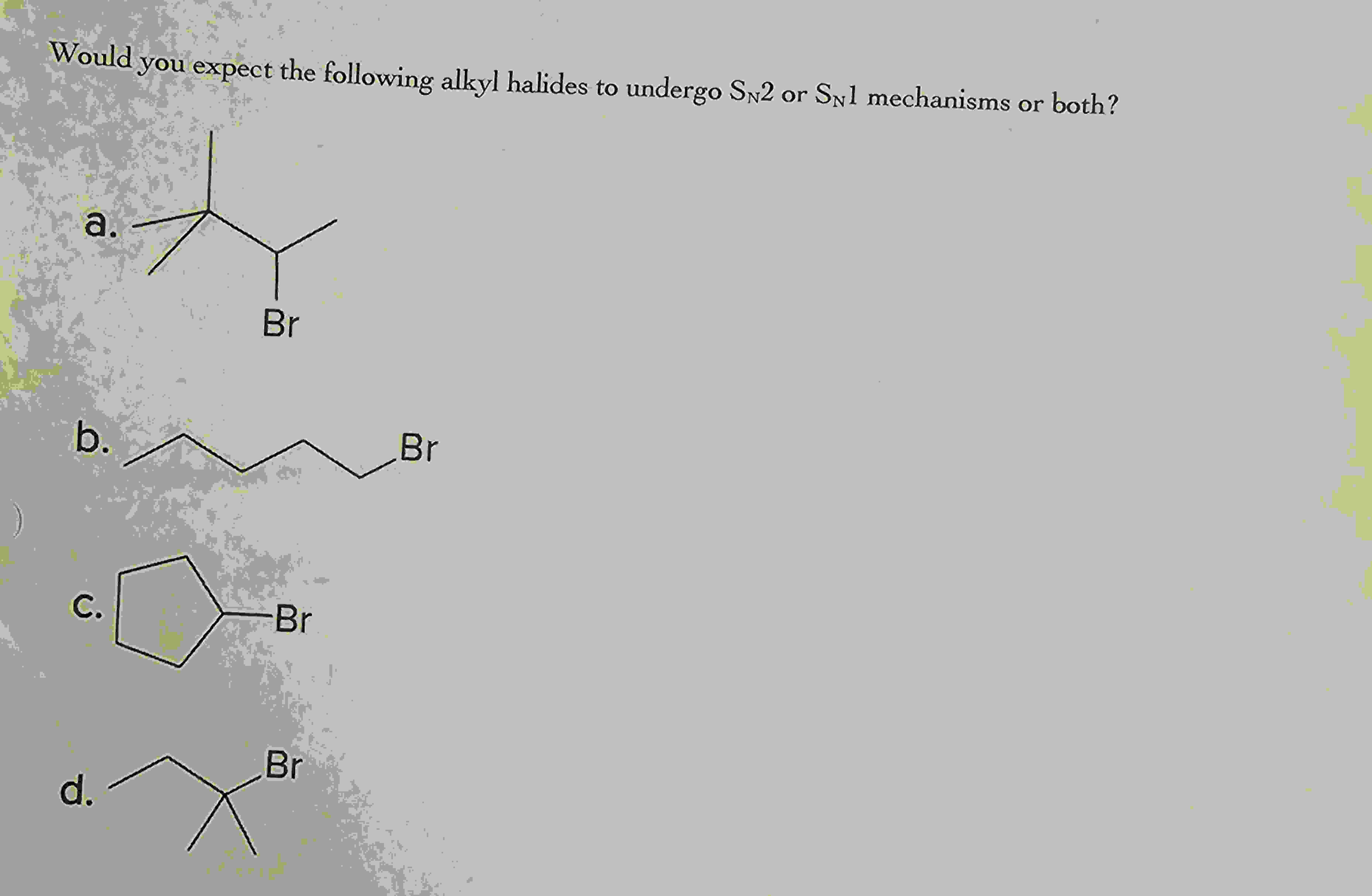 Solved Would you expect the following alkyl halides to | Chegg.com