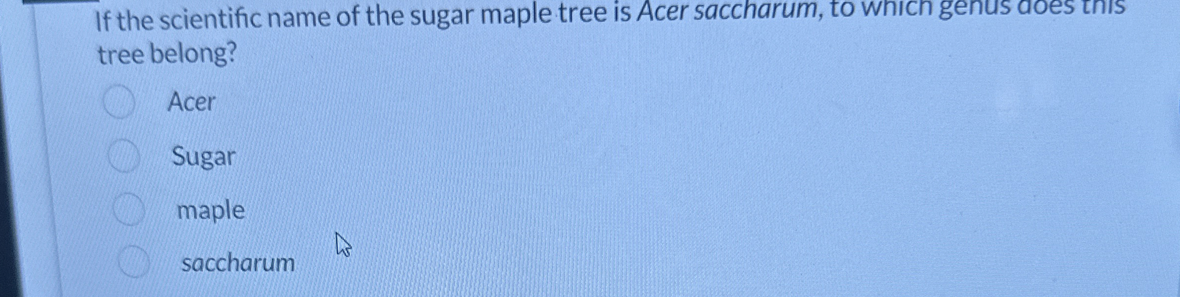 Solved If the scientific name of the sugar maple tree is | Chegg.com