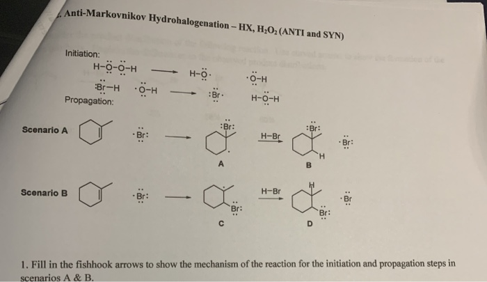 Solved Anti-Markovnikov Hydrohalogenation - HX, H,02(ANTI | Chegg.com