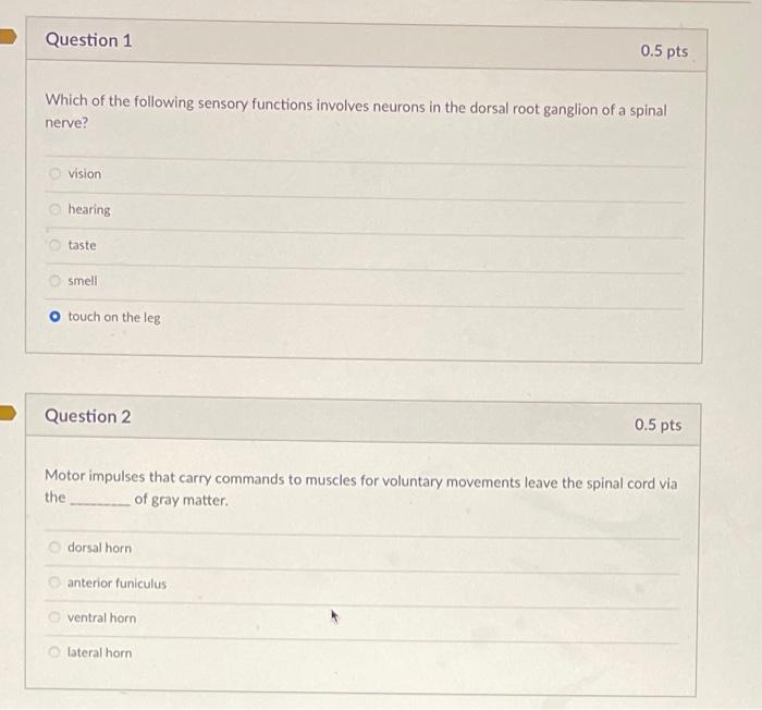 Solved Which of the following sensory functions involves | Chegg.com