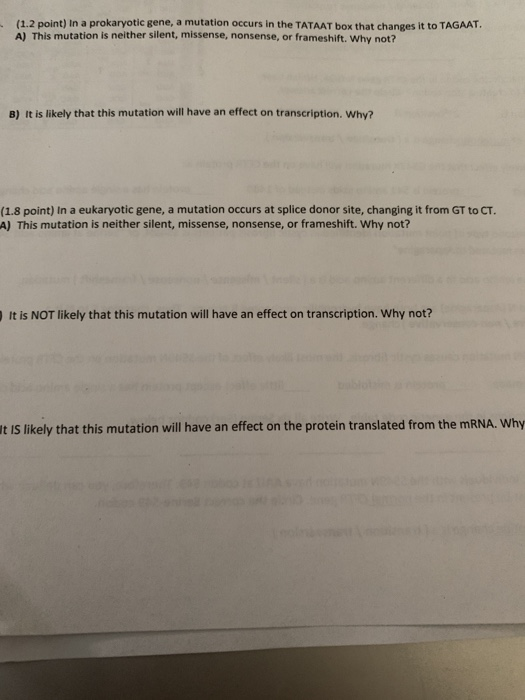 Solved (1.2 point) in a prokaryotic Rene, a mutation occurs | Chegg.com