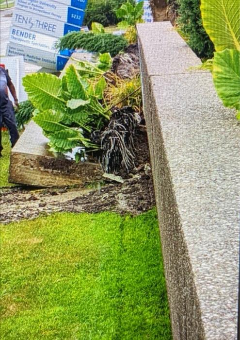 Solved what happed ? | Chegg.com