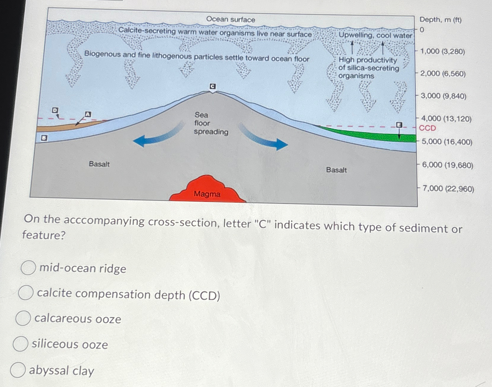 Solved ﻿n the acccompanying cross-section, letter " C " | Chegg.com