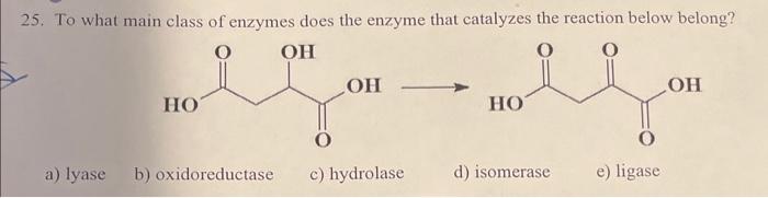 Solved 25. To what main class of enzymes does the enzyme | Chegg.com