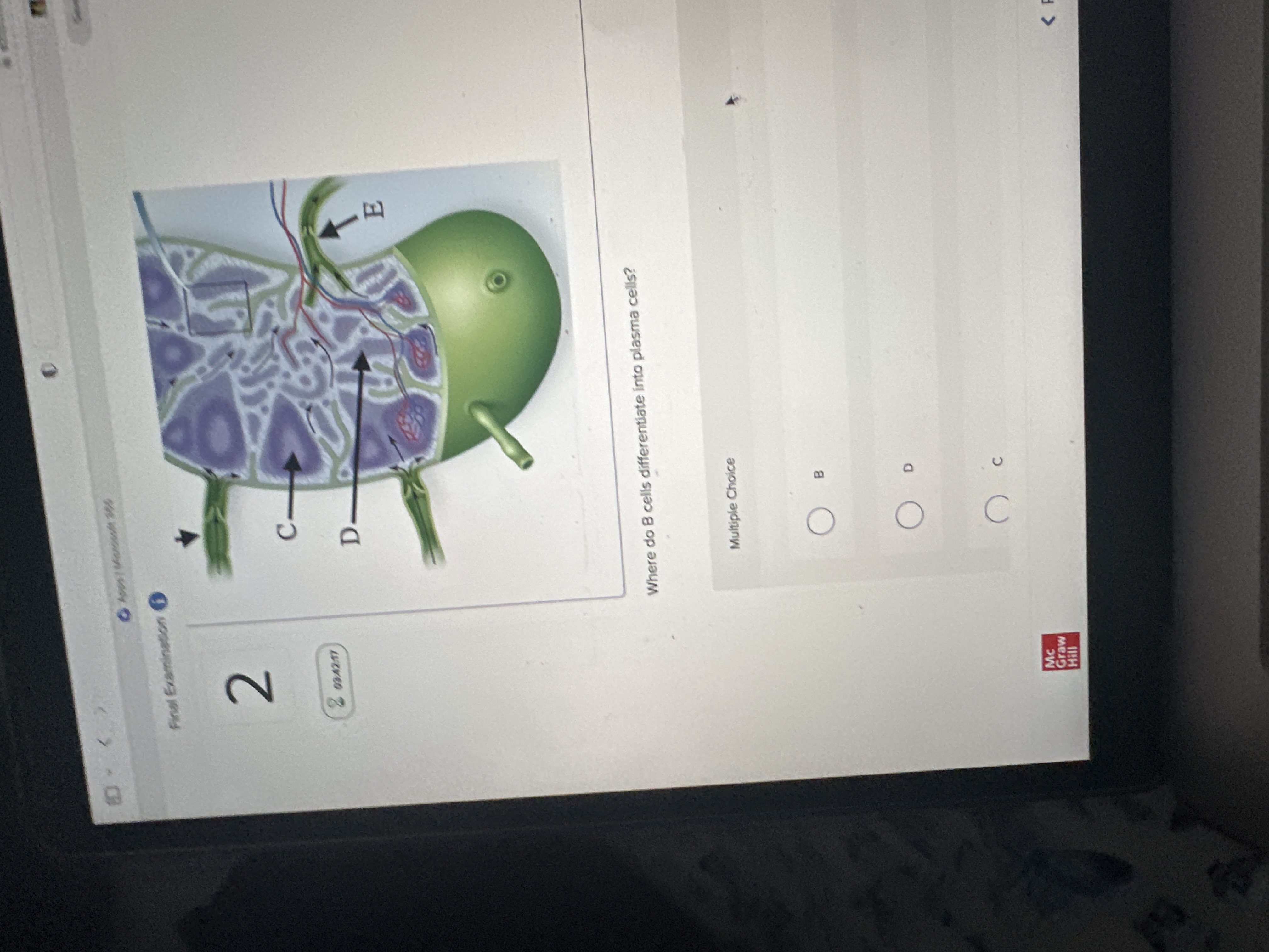 Solved Hom thand ThFinal Examintion 92004217Where do B | Chegg.com